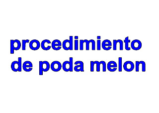 SENAPRENDIZ: Procedimiento de poda melon