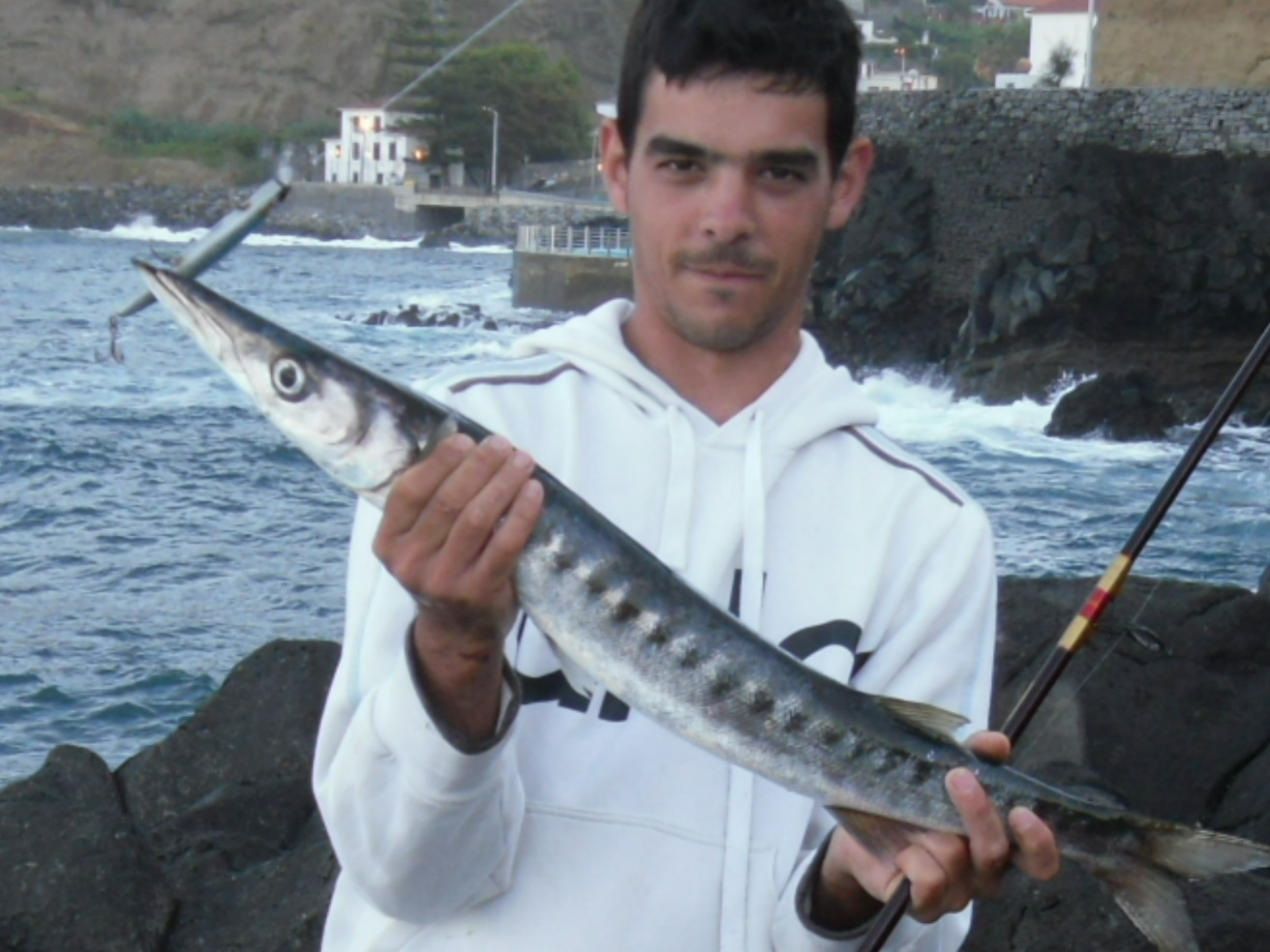 Madeira fishing report: bicuda e anchova