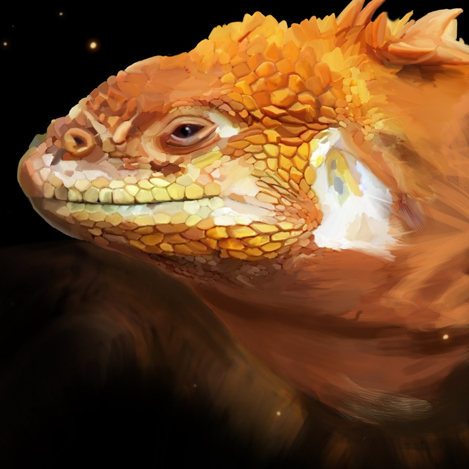 all new pix1: Wallpaper Comodo