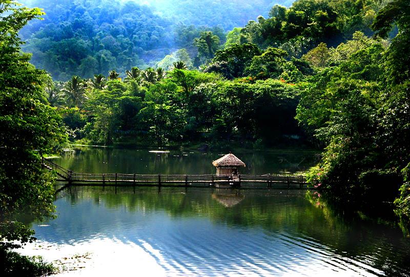 Thattekad bird sanctuary, Ernakulam. | Kerala, Munnar, Tourism