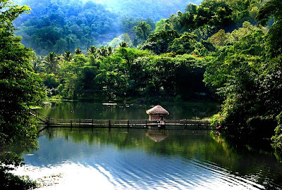 INDIA ON WHEELS - A trip for pleasure!: Wildlife in Kerala : Thattekkad ...