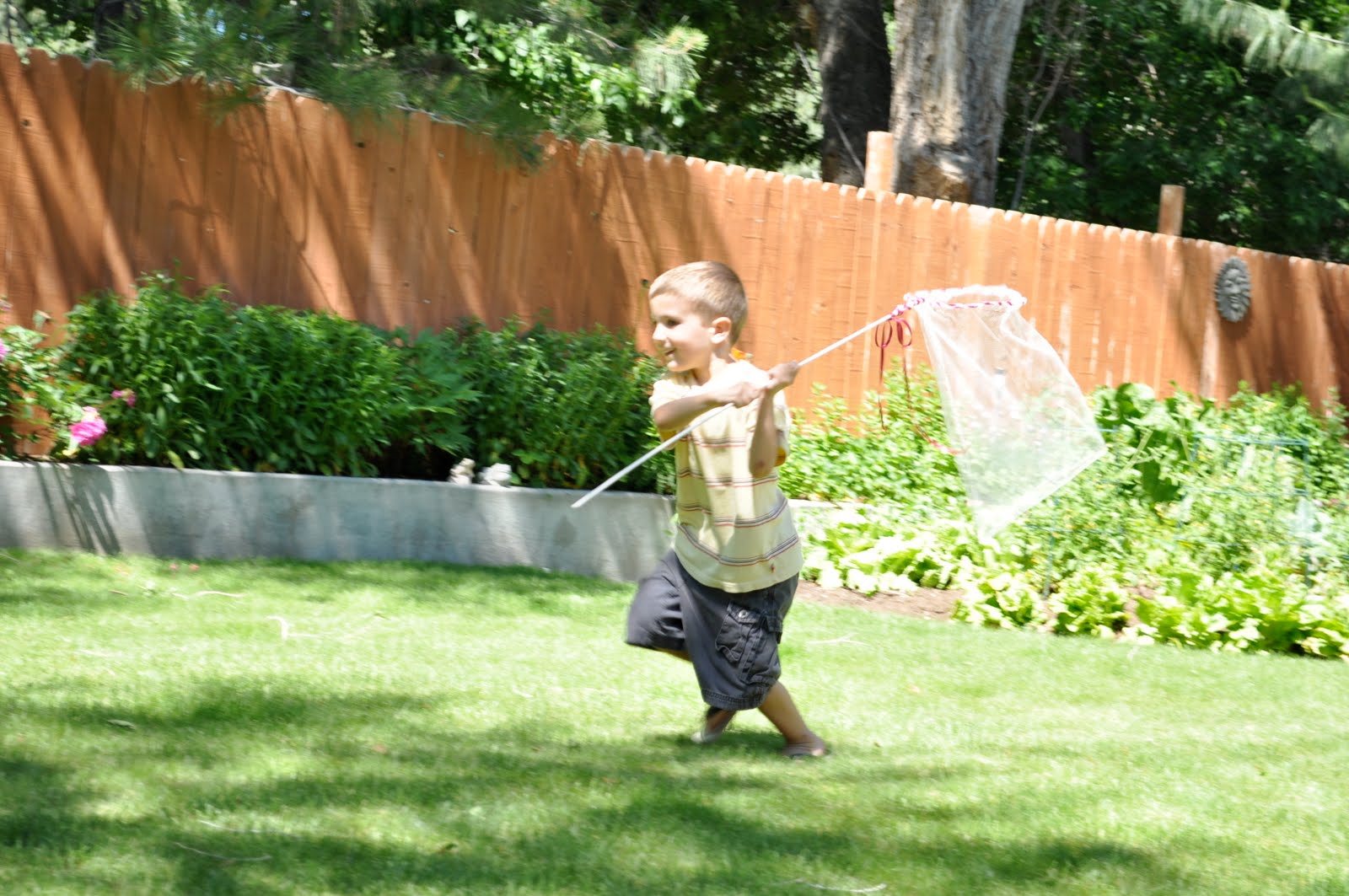 Homemade Butterfly Net from Little Birdie Secrets | Skip To My Lou