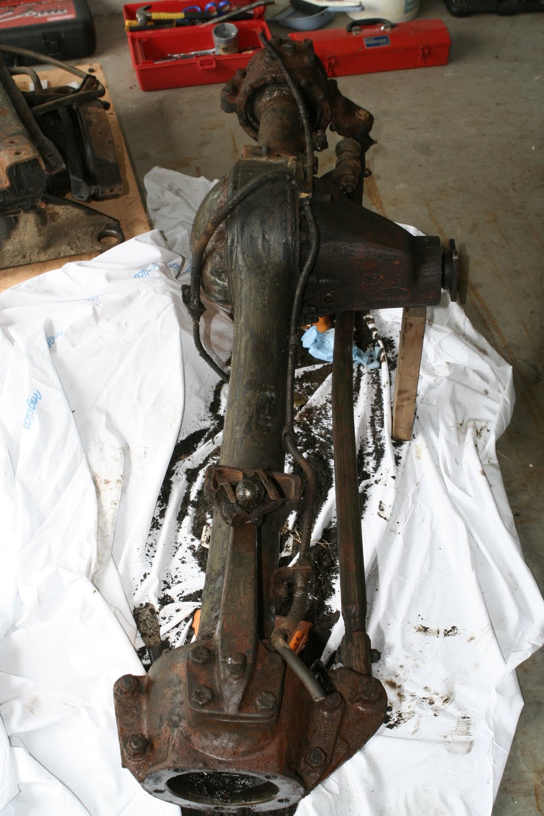 M37 Rebuild: Start of M37 Rebuild