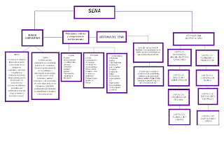DINAMICO: SENA MAPA CONCEPTUAL LEY 119