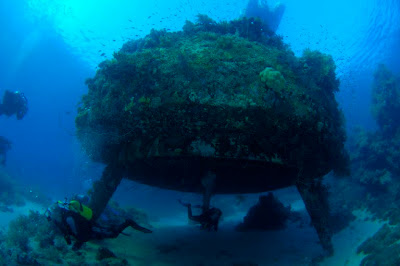 brooklyn walkup: CONSHELF II