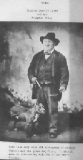 Listado de las supuestas razas PPP: American Pitt Bull Terrier