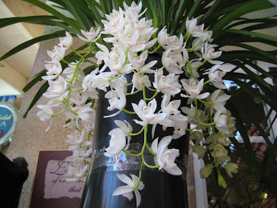 Orchids By Art: Cymbidium Sarah Jean 'Ice Cascade'