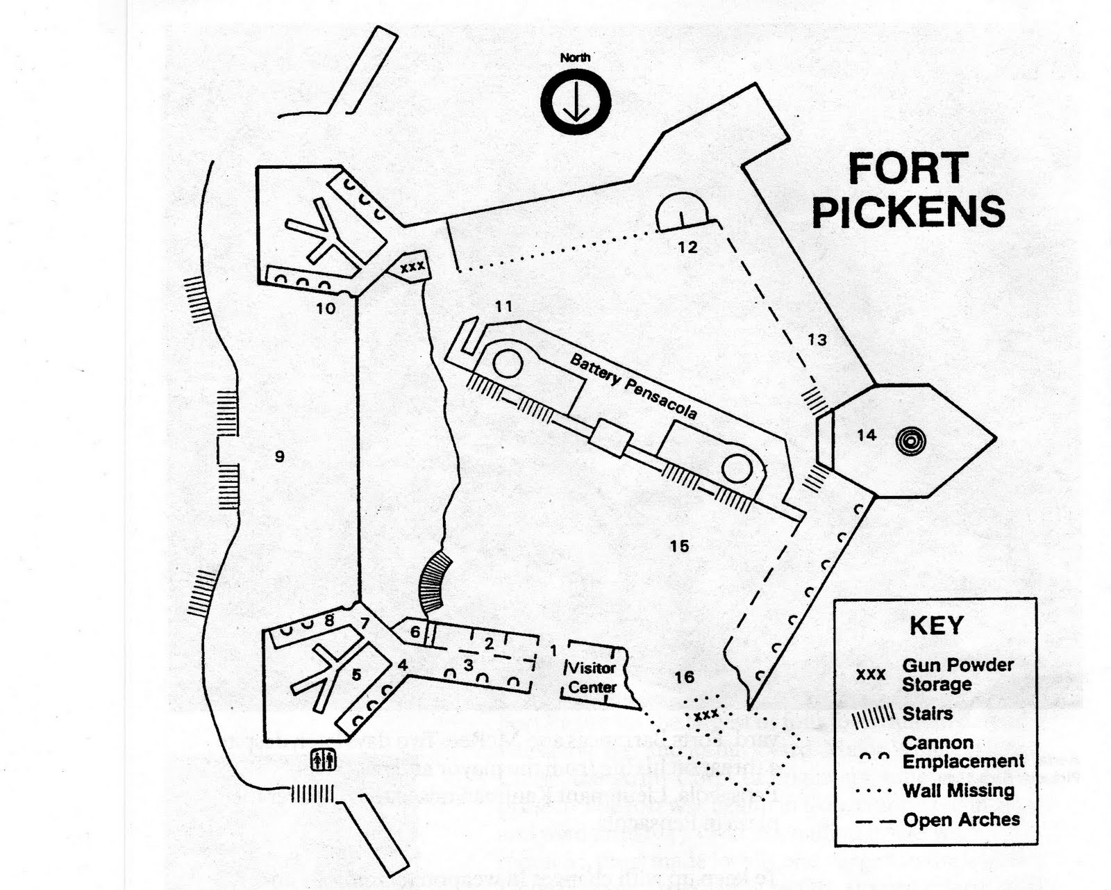 Tony's thoughts on the Natural World II