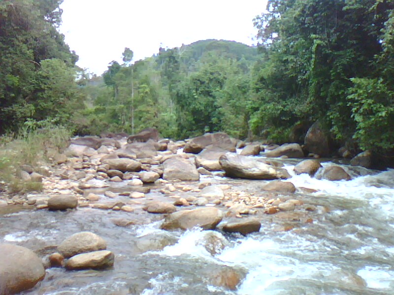 pleaselovemeunconditionally: Lata Rambung