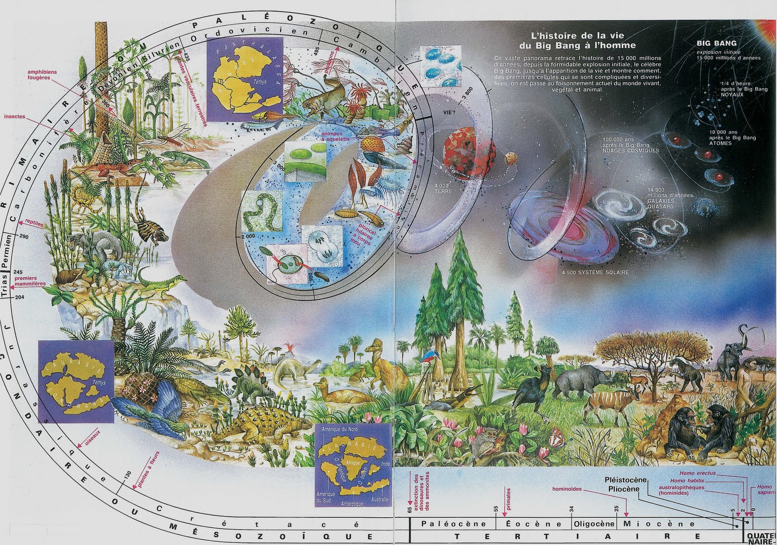 Lire, écrire, réfléchir et comprendre; observer et décrire.: Schéma ...