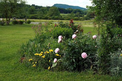 Colors Of The Garden: Hello Summer!