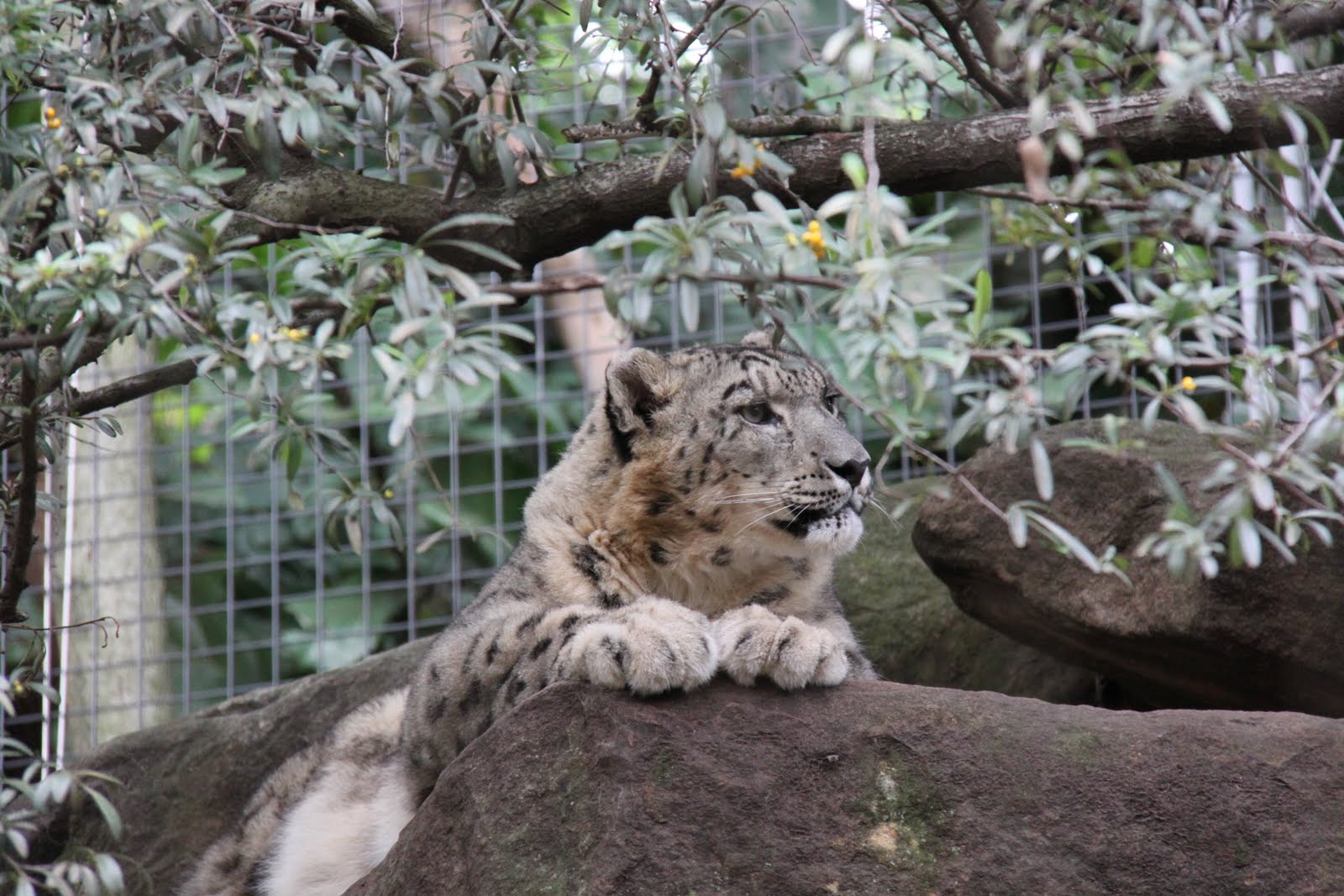 mariniblogi: Reisi lõpp - tagasi Sydneys