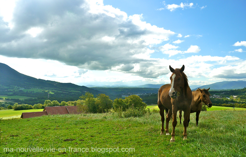 Ma Nouvelle Vie en France - My New Life in France: The Journey Part VII