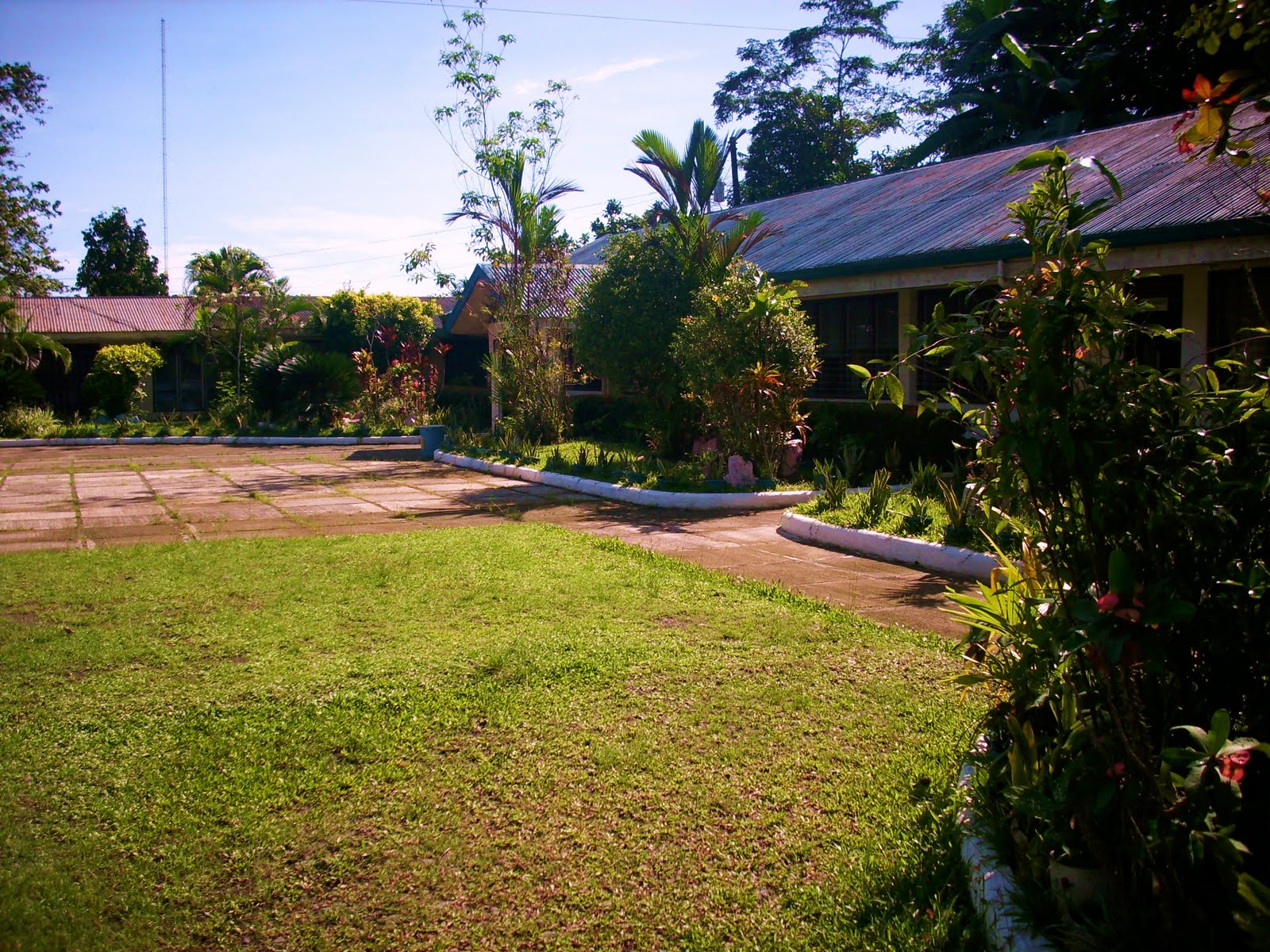 Elpa High Gallery of Pictures and Videos: 3RD YEAR CAMPUS TOUR