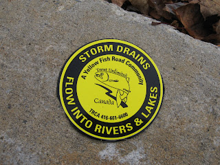 Don Watcher: Yellow Fish Road