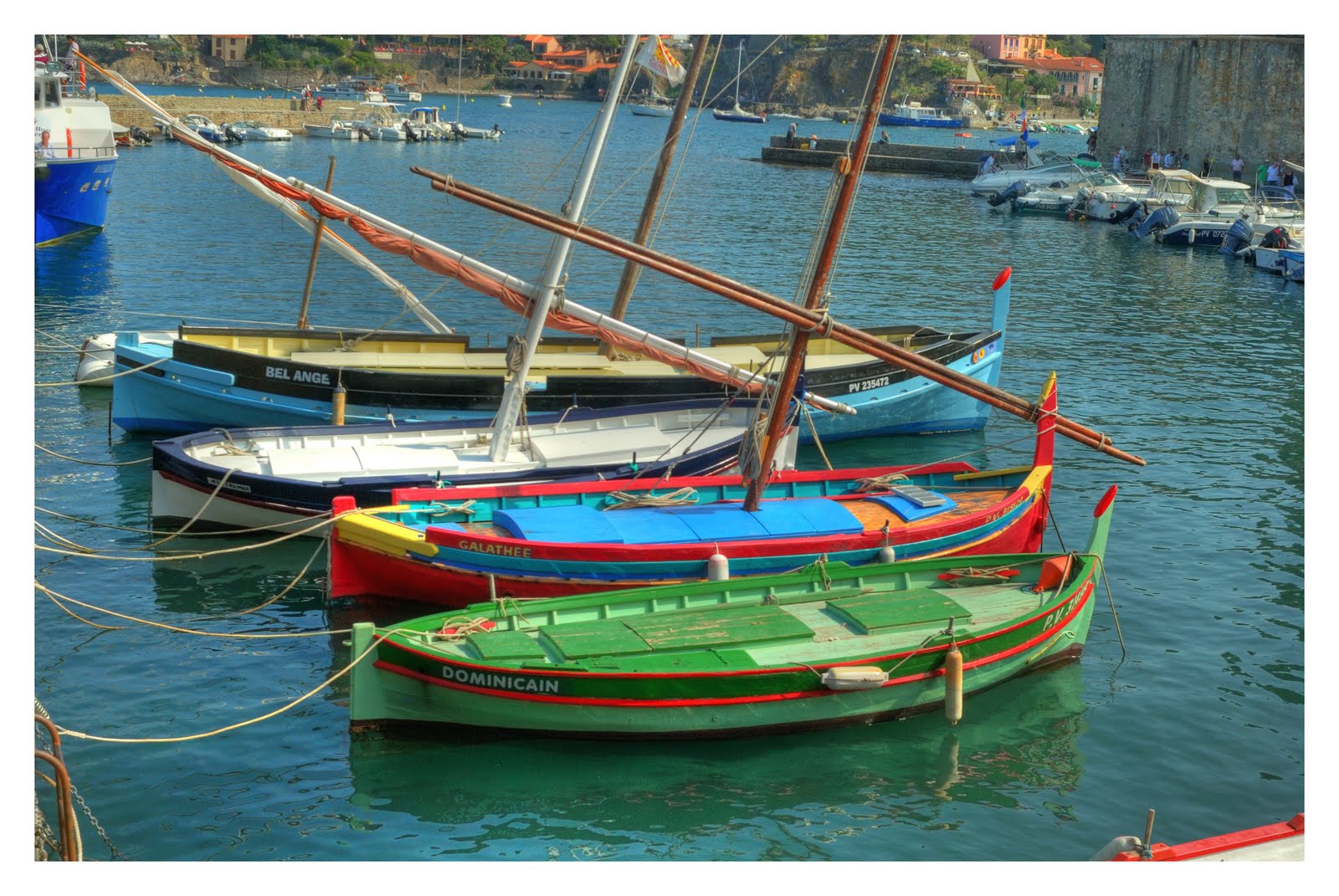 Barque plisson : trouvez le meilleur prix sur Voir avant d'Acheter