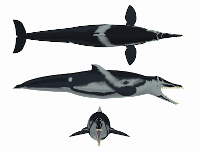 ART Evolved: Life's Time Capsule: May 2010