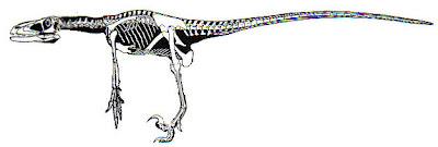 ART Evolved: Life's Time Capsule: Reconstruction Tips: Make your own ...