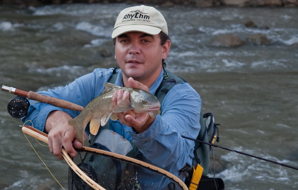 Flyfishers Unlimited: Yellow fish from Israel