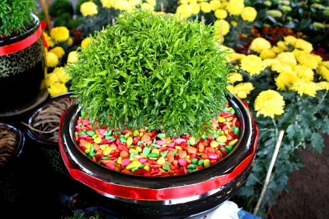 非常槟城 Extraordinary Penang: # Raja Uda - Apollo Market 阿坡罗市集