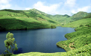 Theni - Tamilnadu - SouthIndia