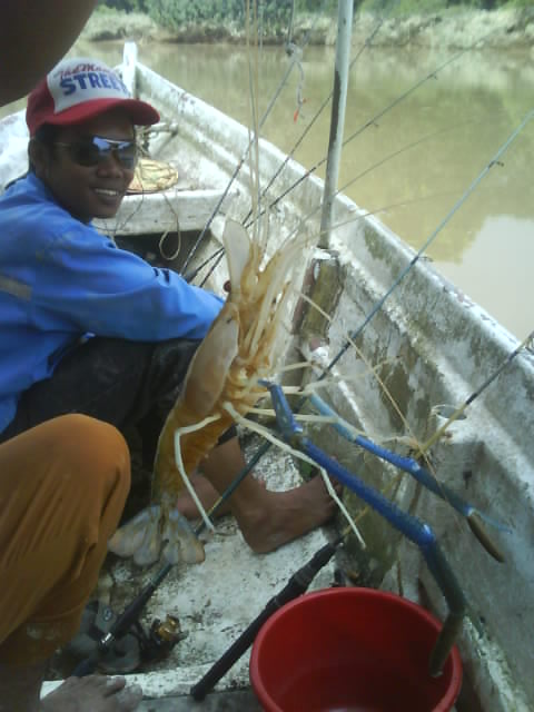 Terbaru 11+ Gambar Pemandangan Orang Lagi Mancing, Gambar Pemandangan