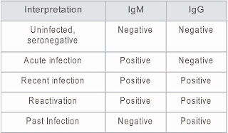 Gokaki: Research part 1 :Cytomegalovirus (CMV Virus)