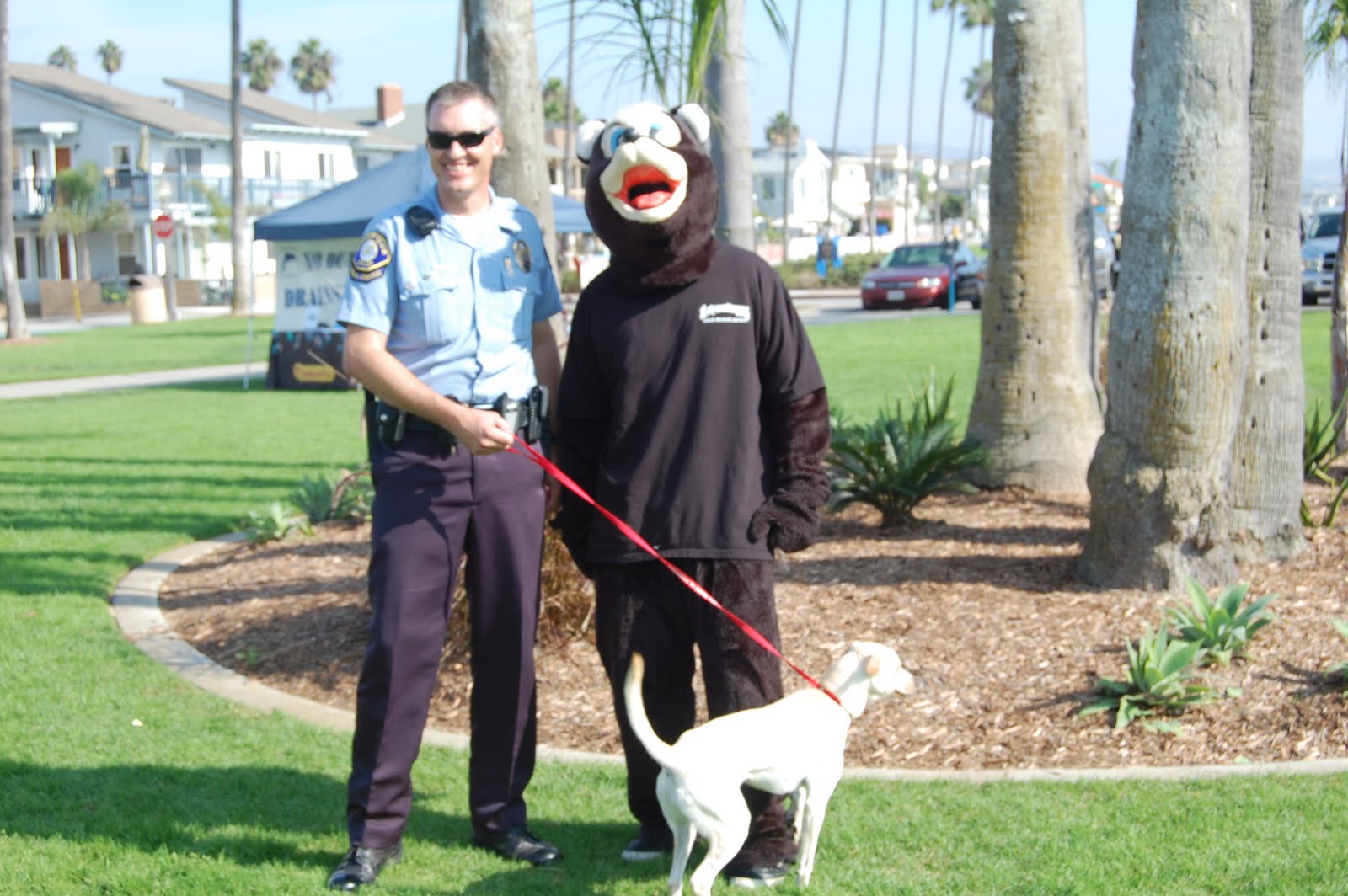 All City Animal Trapping: NEWPORT BEACH WILDLIFE CONTROL, NEWPORT BEACH ...