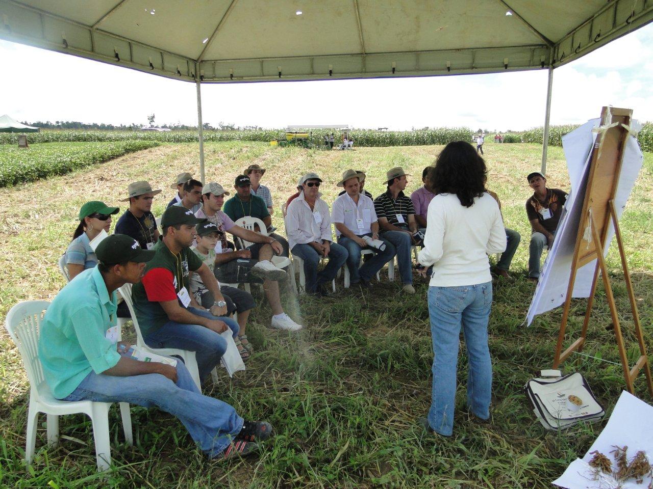 Cultivar Juparanã: Dia de campo 2010