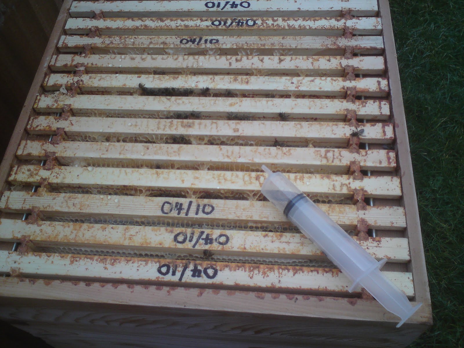 The Naked Beekeeper Oxalic Acid Treatment For My Bees