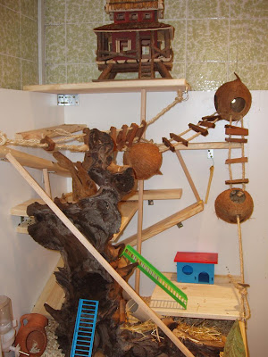 Best cage/tanks types? | Pet Mice Forum