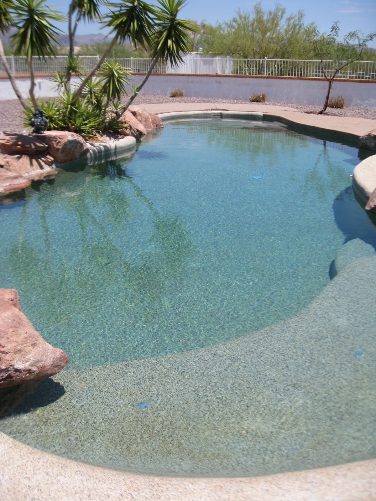 Pool Service by Pool Savers: Green Pebbletec Pool