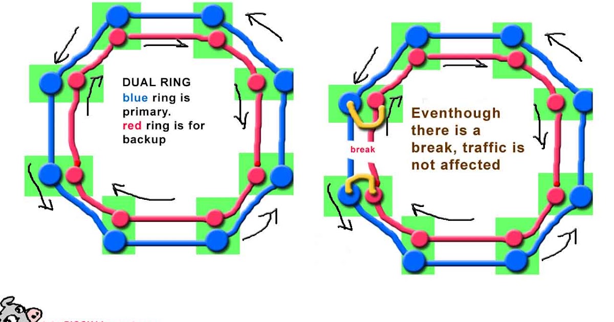 Welcome to Tutor PIGGY.blogspot.com: How Dual Ring Works