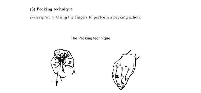 4 Horse Acupuncture resource 4