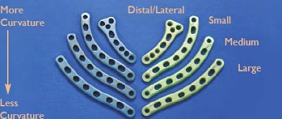 Collarbone 101: Collarbone 101