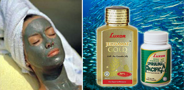 Khasiat & Manfaat Jelly Gamat GOLD Sari Gamat