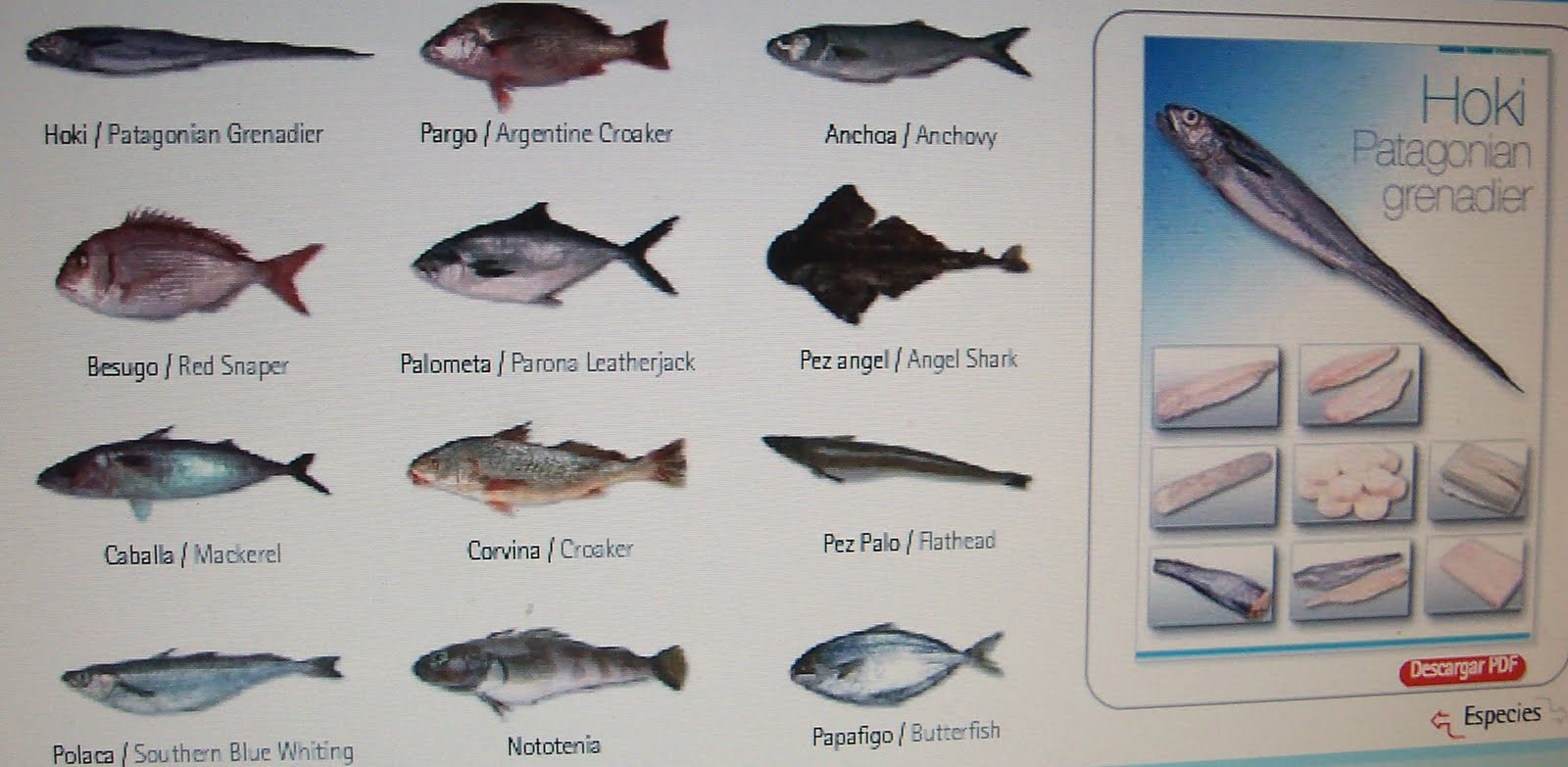 The Sea Hermit: The Moscuzza Float