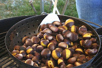 Missouri Beginning Farming: Growing Chestnuts in Missouri a Challenge ...