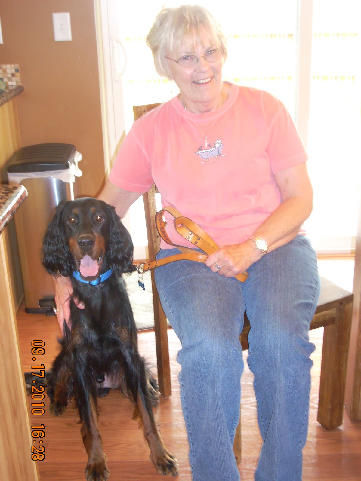 Gordon Setter Crossing: Adopting A Gordon Setter