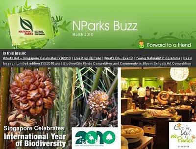 Celebrating Singapore's BioDiversity!: 'Attap Chee' - on NParks Buzz Mar 10