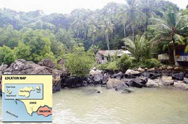 wildsingapore news: Rediscovering Pulau Pisang, a floating orchard