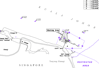 wild shores of singapore: 2009-03-29