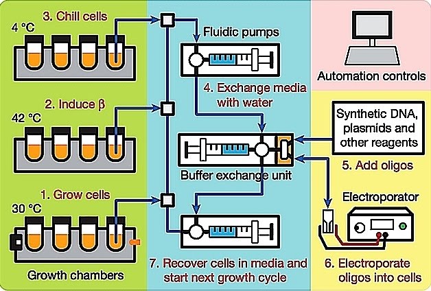 George Church's Multiplex Automated Genome Engineering Machines to sell ...