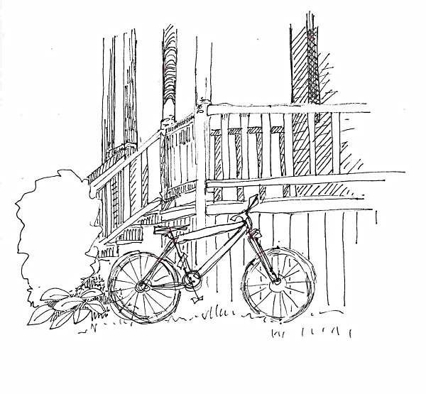 In and Out of The Studio: Bike Ink Drawing