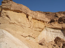 Sedimentary Basins and Petroleum Geology