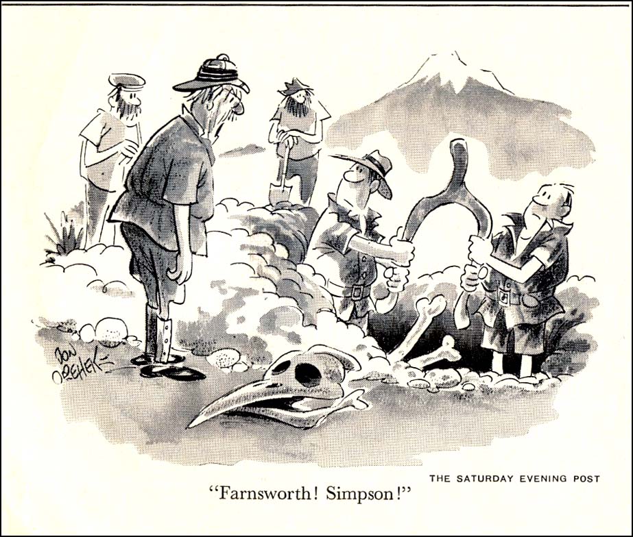 Don Orehek Cartoons: Saturday Evening Post (No. 8)