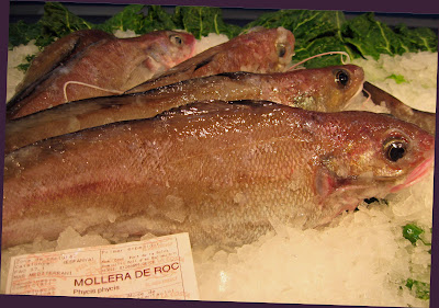 EL MILLOR PEIX: LA MÒLLERA