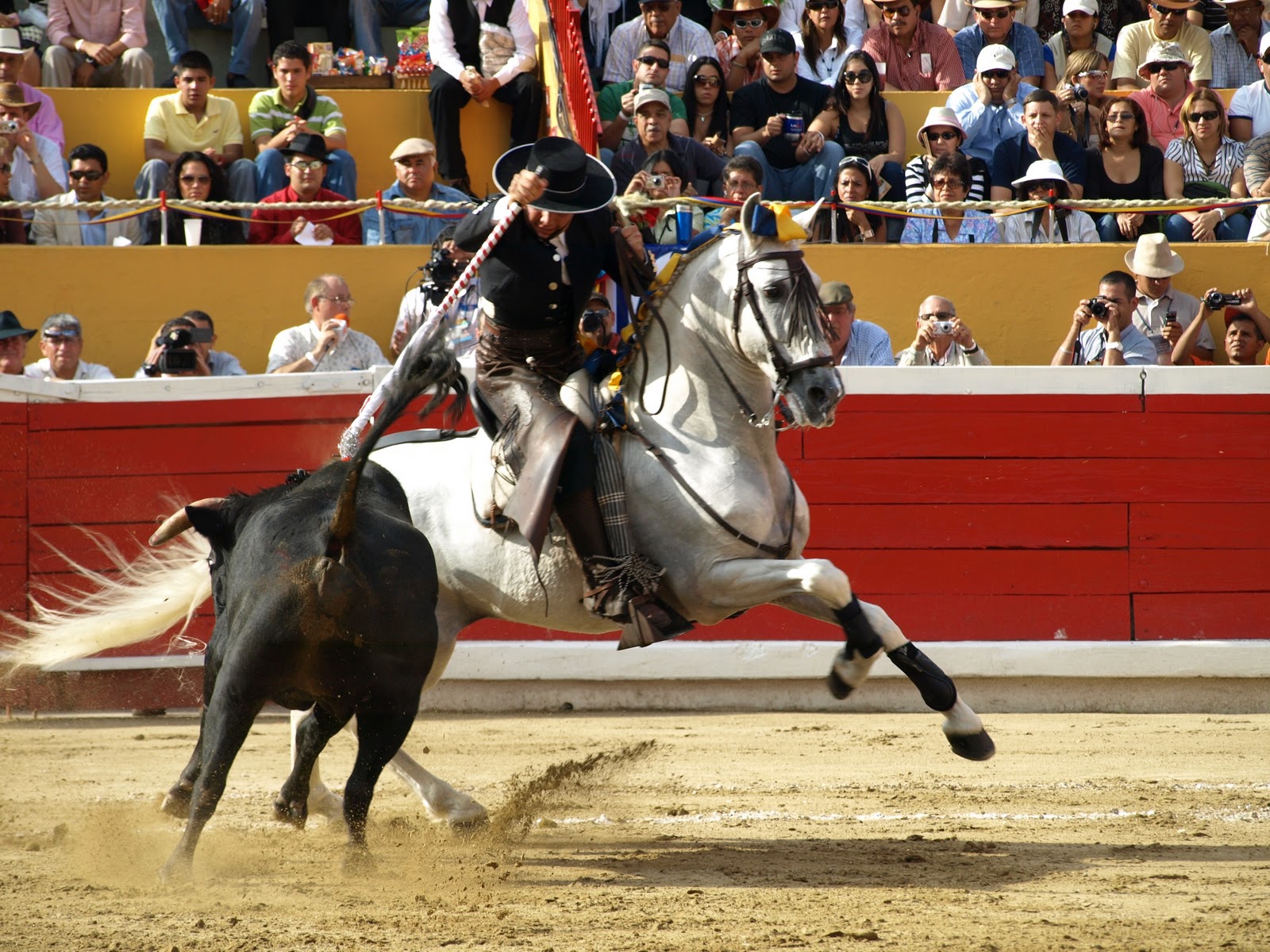 Complejo Recreacional Albarregas S. A. (COREALSA): FUNDAMENTOS DEL ARTE ...