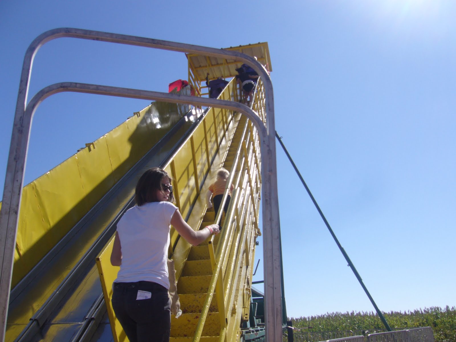 You've Gotta Be Kidding: Potato Sack Slides