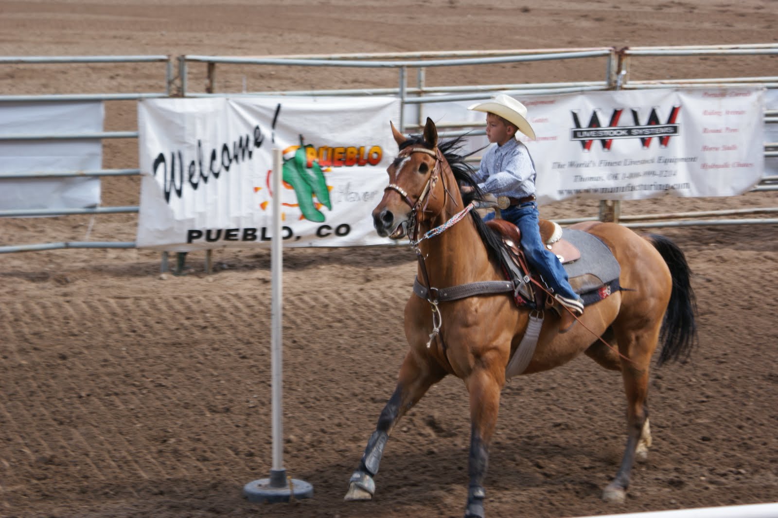 Rodeo Moms Club: Pole Bending - Picture of the Week